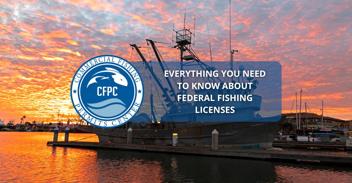 Everything You Need to Know About Federal Fishing Licenses