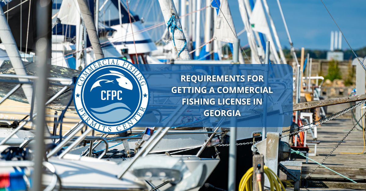 Requirements for Getting a Commercial Fishing License in Georgia
