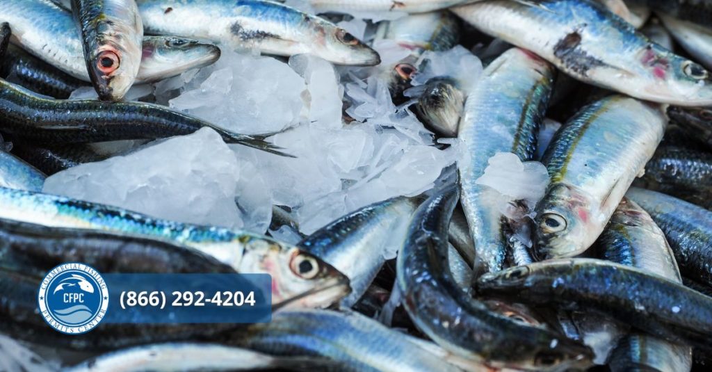 The Right Commercial Fishing Permits To Start Your Business