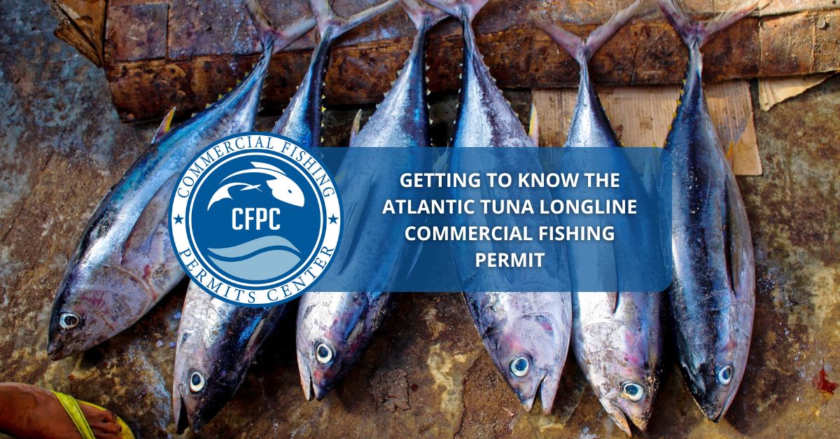 Commercial Fishing Permit - Getting to Know the Atlantic Tuna Longline