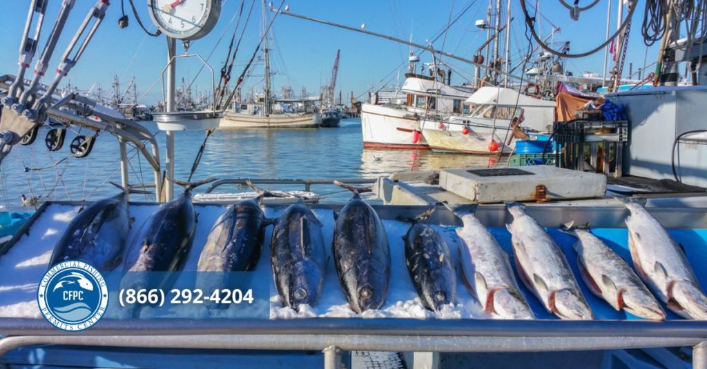 Commercial Fishing Permit - Getting to Know the Atlantic Tuna Longline