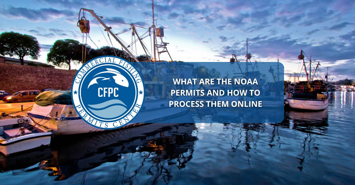What are NOAA Permits and Can You Get Them Online?