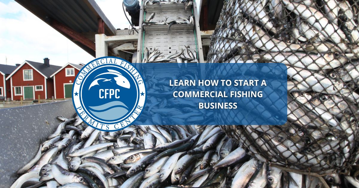 Learn How to Start a Commercial Fishing Business
