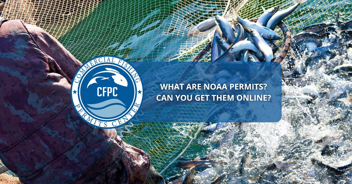 What are NOAA Permits? Can You Get Them Online?