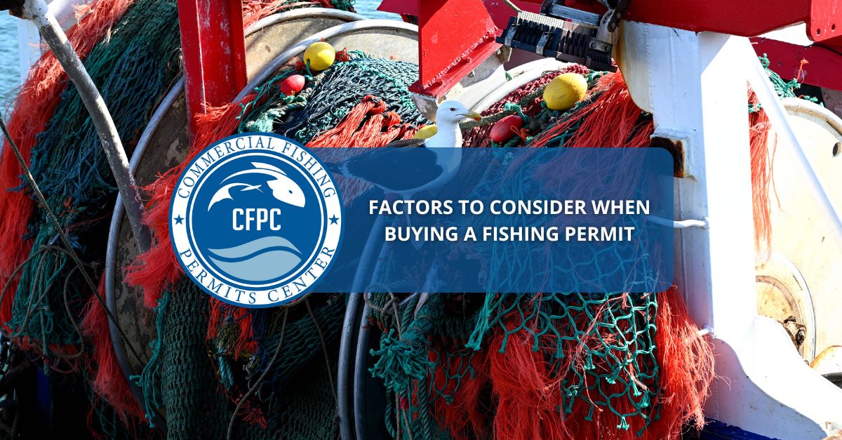 Factors to Consider When Buying a Fishing Permit
