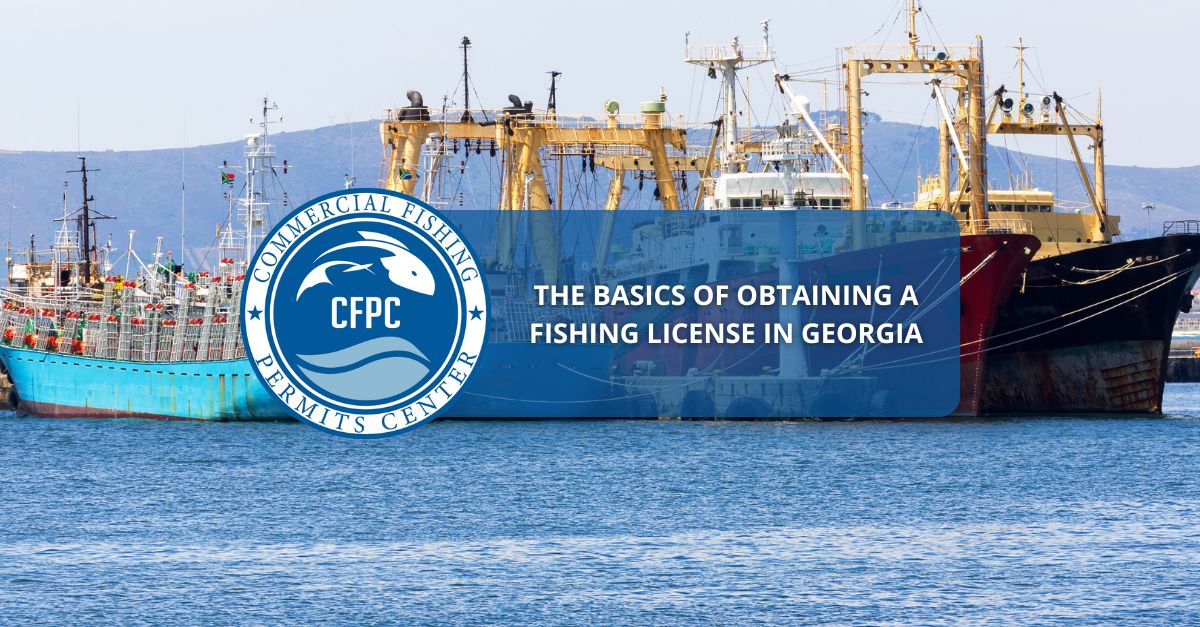 The Basics of Obtaining a Fishing License in Georgia