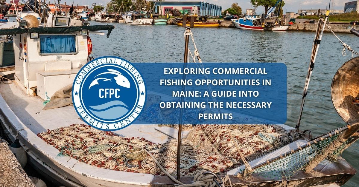 Maine Commercial Fishing: Explore The Opportunities