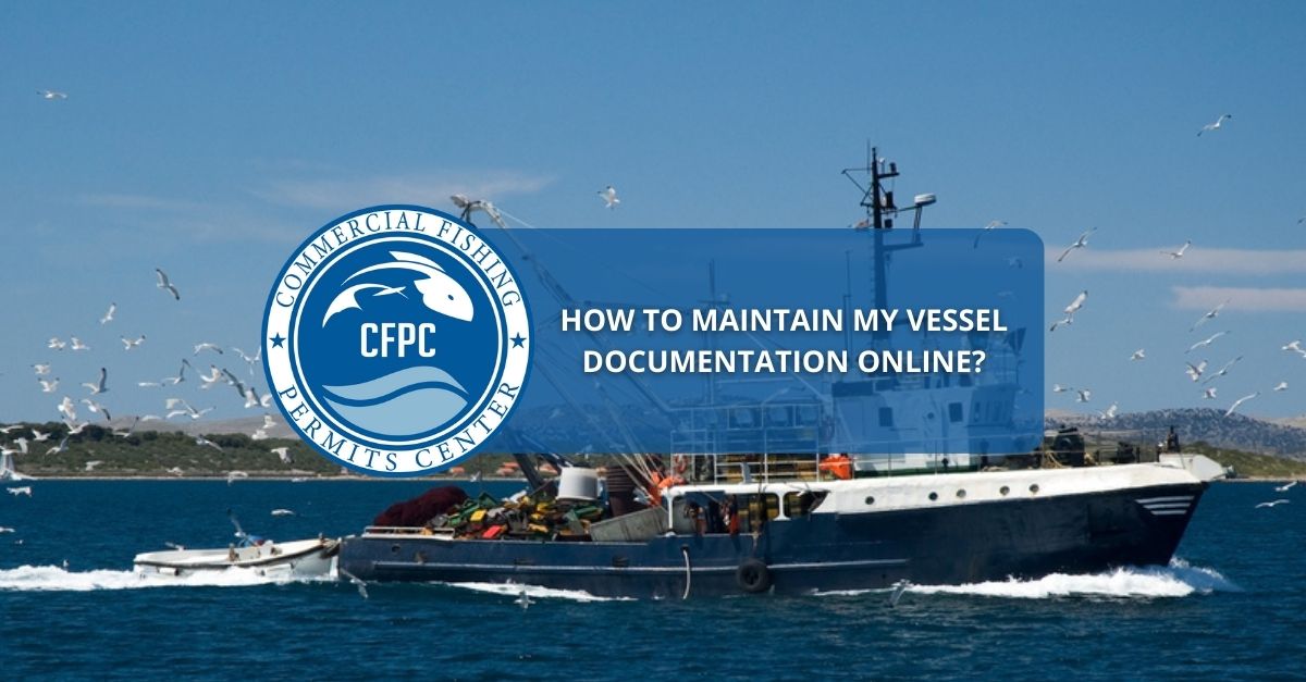 How to Maintain My Vessel Documentation Online?