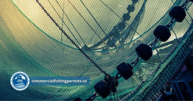 Commercial Tuna Fishing Permits: A Faster Way