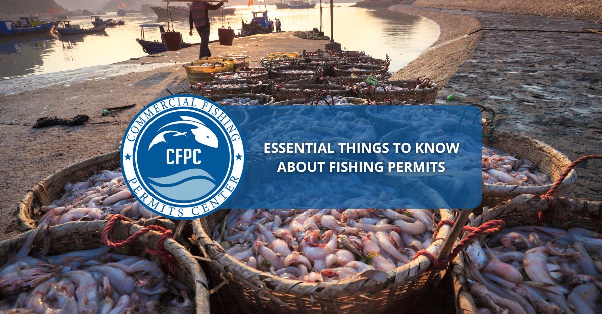 Essential Things to Know About Fishing Permits