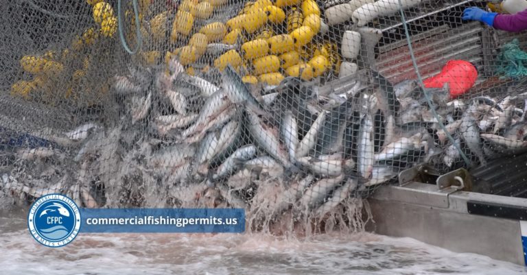 Everything You Need To Know About a Fishing Permit Renewal