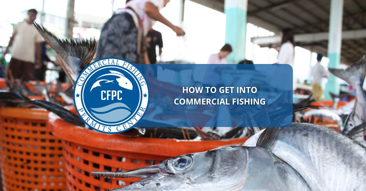 Commercial Fishing: How to Get Into Commercial Fishing