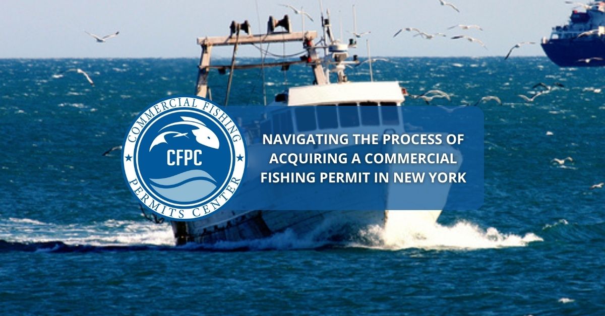 Fishing Permit in New York: Explore Abundant Fishing Spots Fishing Permit in New York: Explore Abundant Fishing Spots