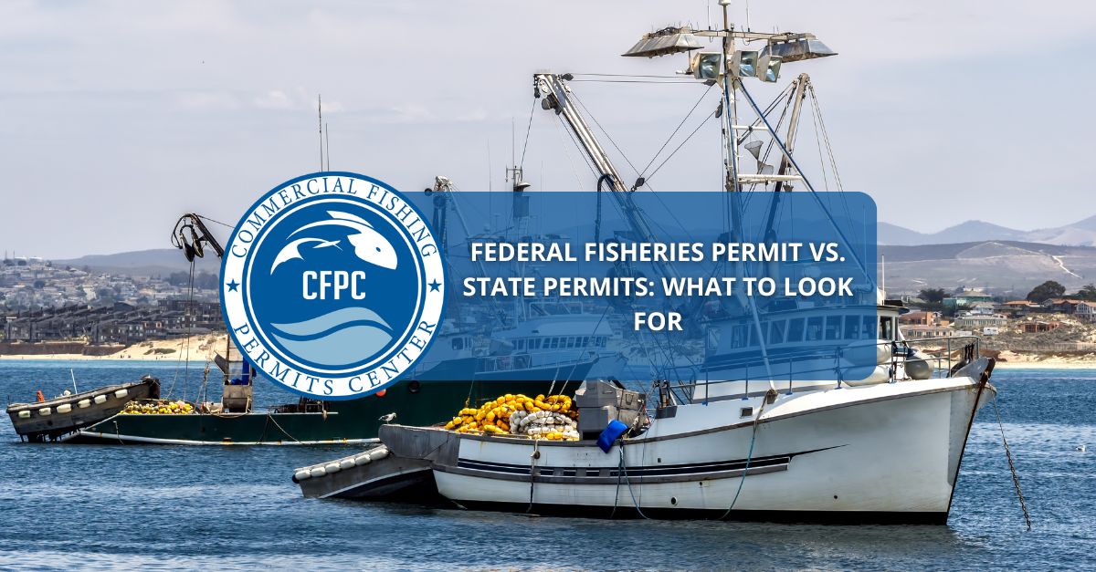Federal Fisheries Permit vs. State Permits: What to Look For