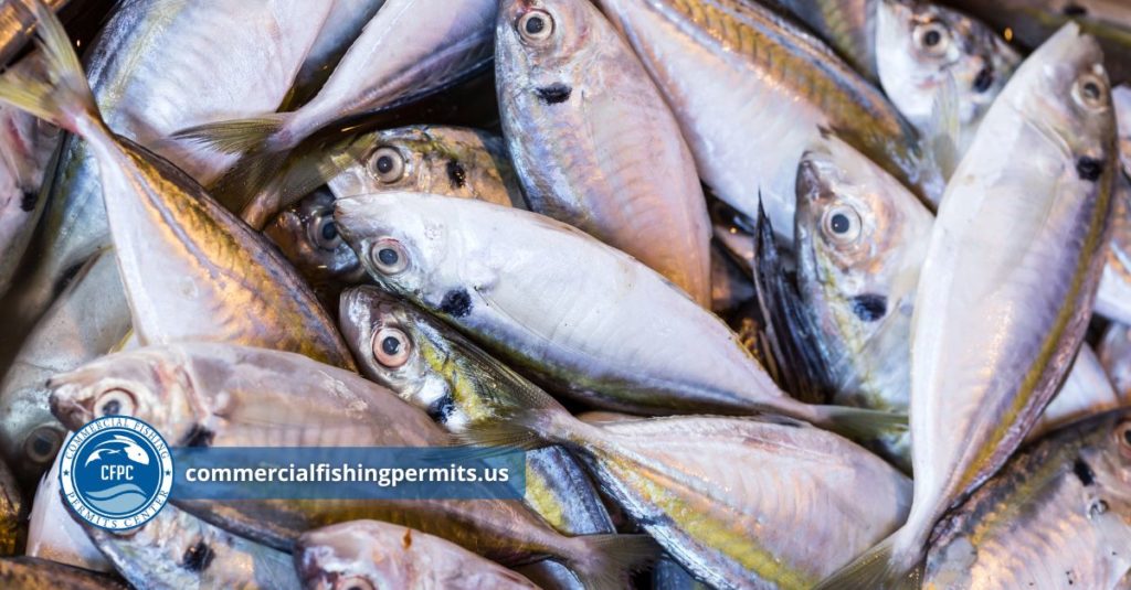 Hailing Port and Why a Commercial Fishing Boat Requires One