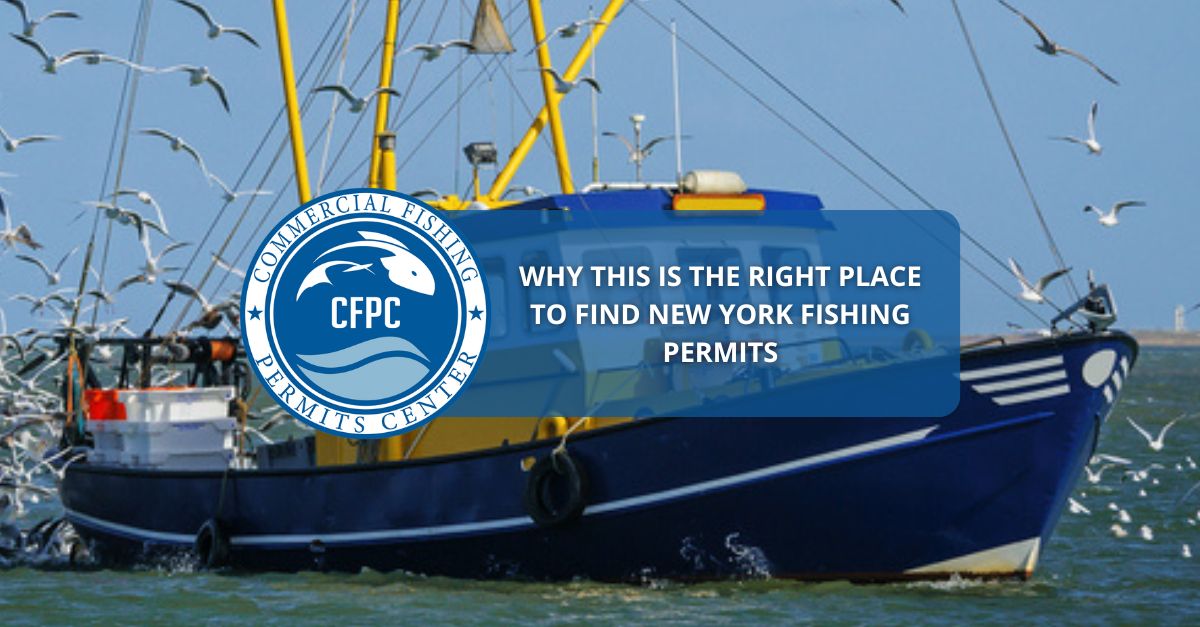 New York Fishing Permits: The Right Place to Find them