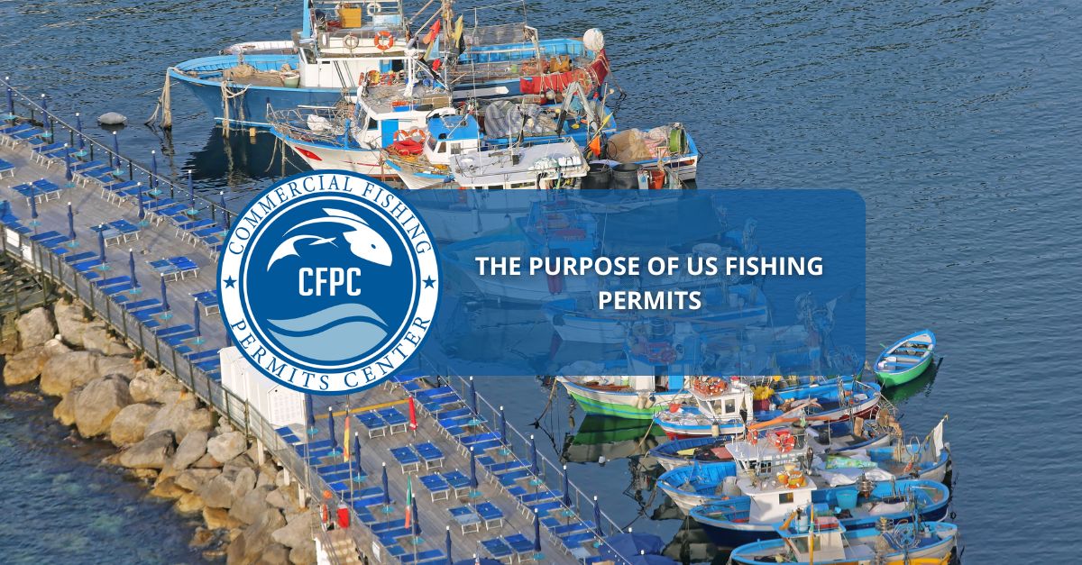Fishing Permits : What is the Real Purpose?