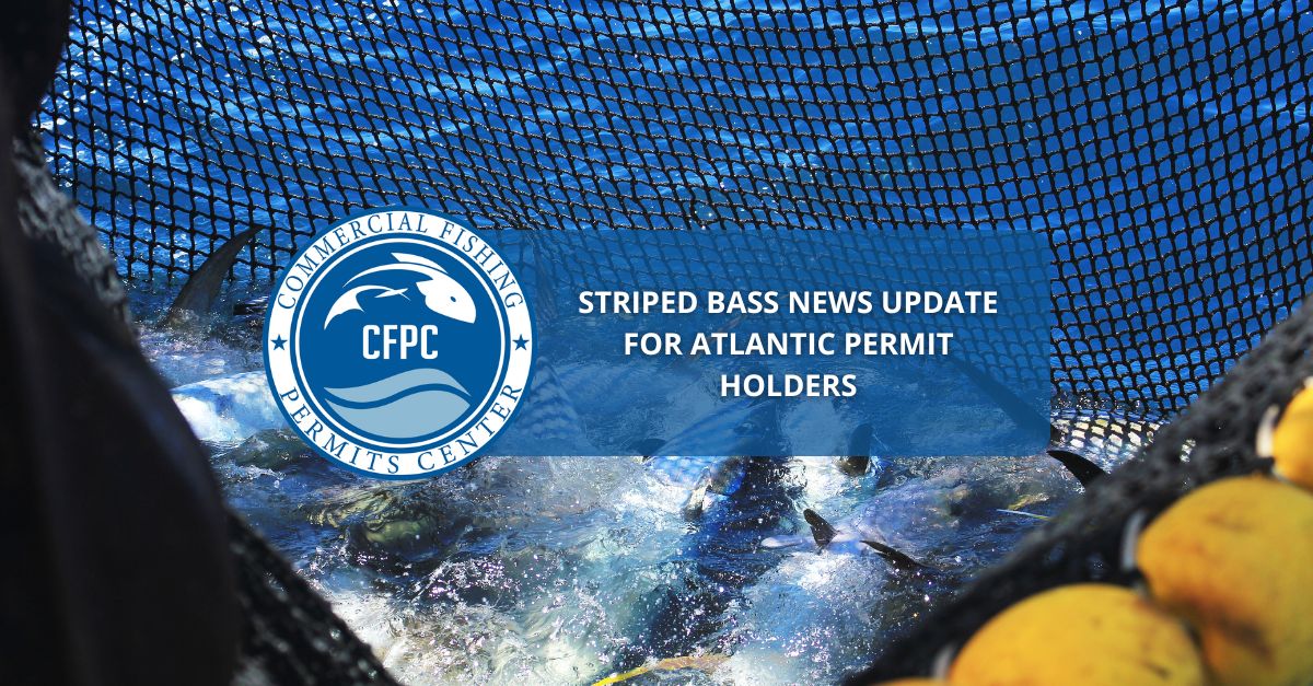 Atlantic Permit: News About Your Key to Success - Commercial Fishing ...